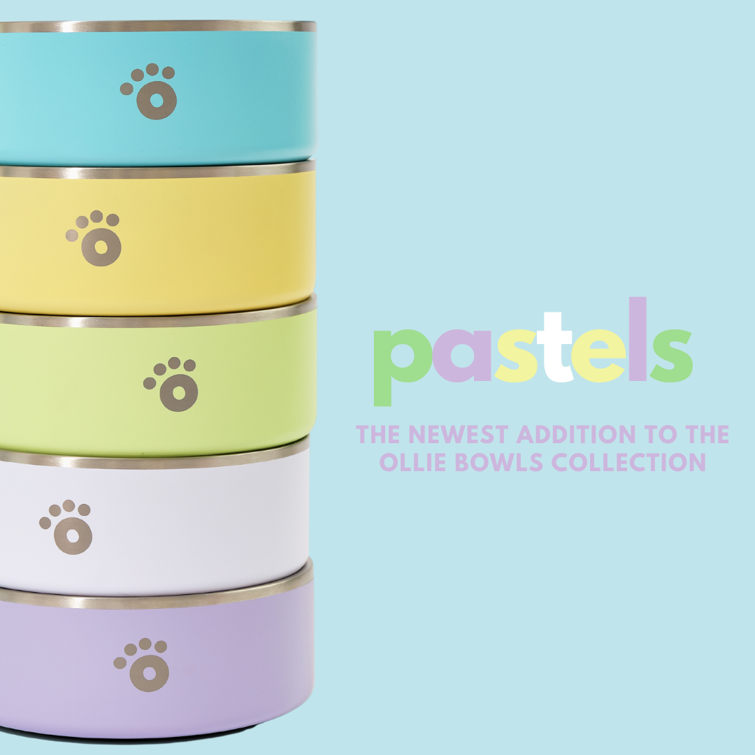 Pastel Colors – Ollie Bowls