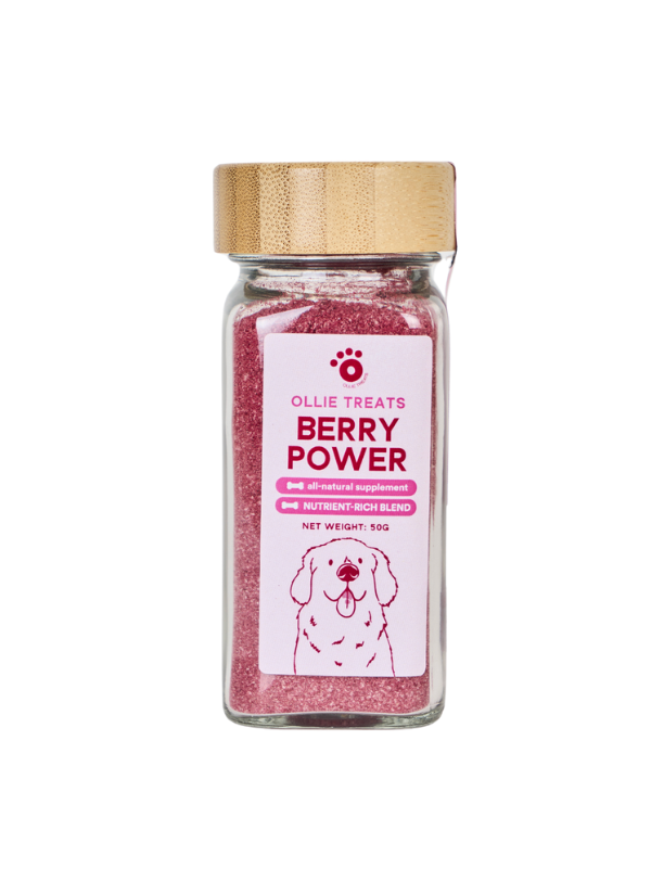Ollie Supplement: Berry Power – Ollie Bowls